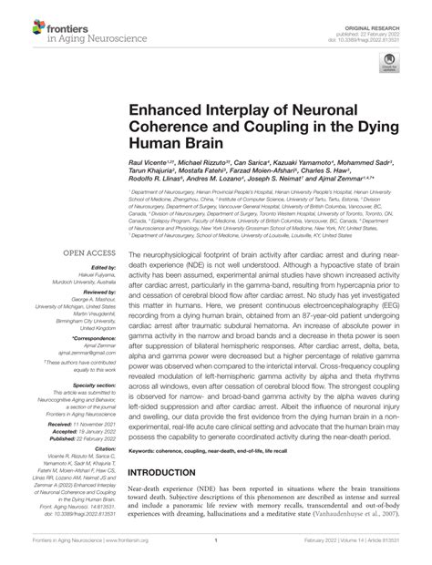 Pdf Enhanced Interplay Of Neuronal Coherence And Coupling In The Dying Human Br