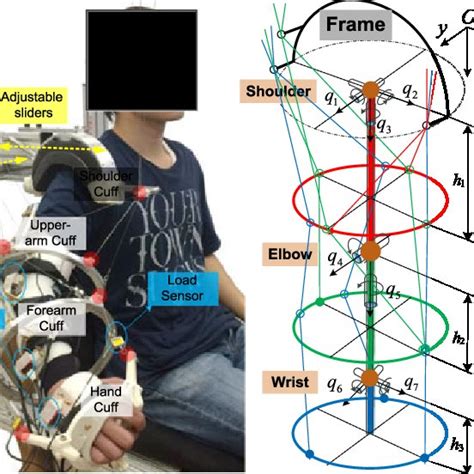 Pdf Design Of A 7 Dof Cable Driven Arm Exoskeleton Carex 7 And A Controller For Dexterous
