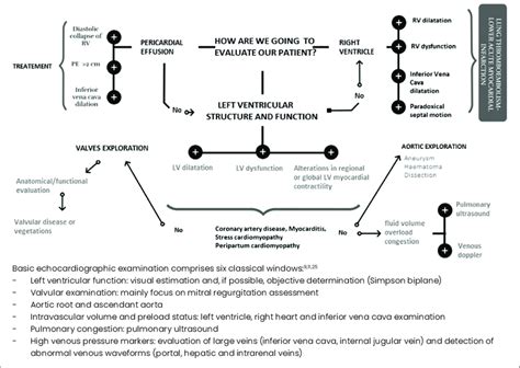 Basic Echocardiogram Approach Download Scientific Diagram