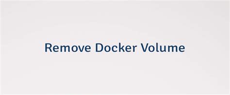 remove docker volume lindevs