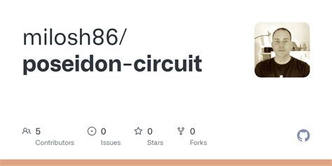 Github Milosh86poseidon Circuit