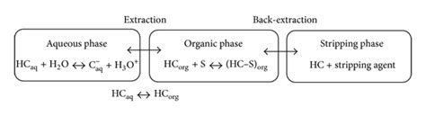 Schematic Representation Of The Reactive Extraction Process Extraction Download Scientific