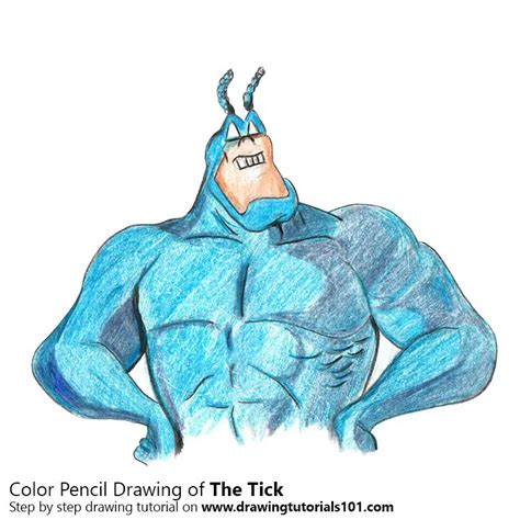 how to draw the tick tick step by step