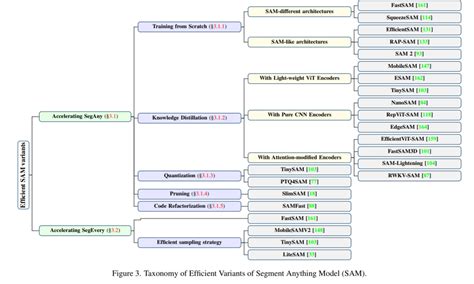 segment anything模型的高效变体：综述 segment anything 综述 csdn博客