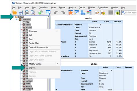 The Value Of Codebook In Ibm Spss Statistics Spss Analytics Partner