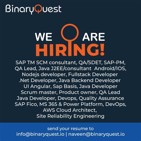 Gs Naveen Kumar On Linkedin Sapconsultant Tmscm Consultant Qa