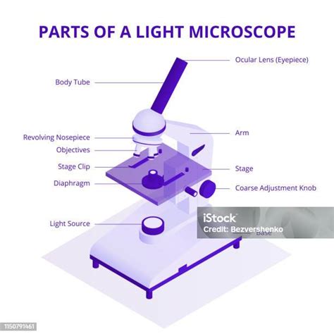 현미경 아이소메트릭 그림 빛 현미경 부품 흰색 배경에 고립 인포 그래픽 요소입니다 현미경에 대한 스톡 벡터 아트 및 기타 이미지 현미경 빛 조명 장비 Istock