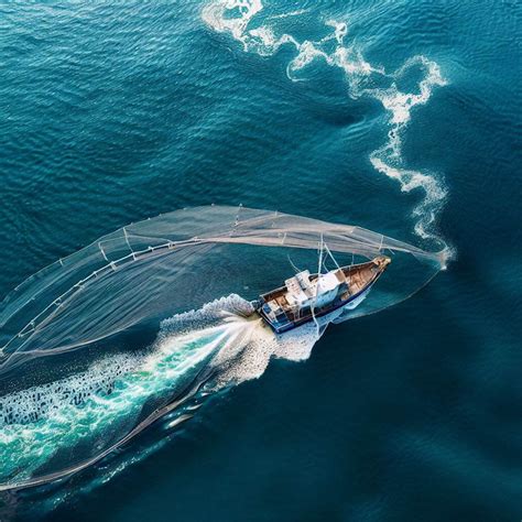 Fisheries Terms and Concepts