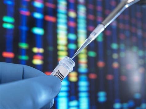 Researchers Identify 17 Novel Genetic Variants Associated With Risk Of Alzheimers Disease Thaiger