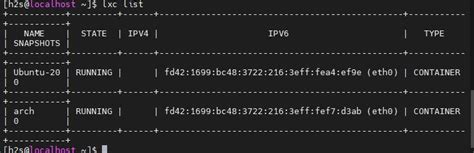 How To Run LXC LXD Containers On AlmaLinux Or Rocky Linux