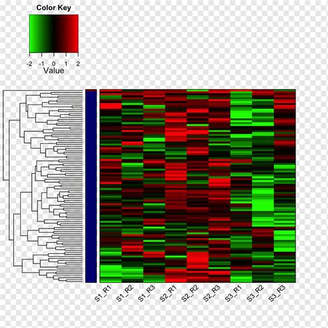 Heat Map Bioconductor Green Plot Dendrogram Angle Rectangle Color Png Pngwing