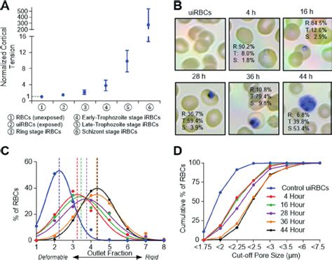 Deformability Based Sorting Of Pf Irbcs At Different Intra Erythrocyte Download Scientific