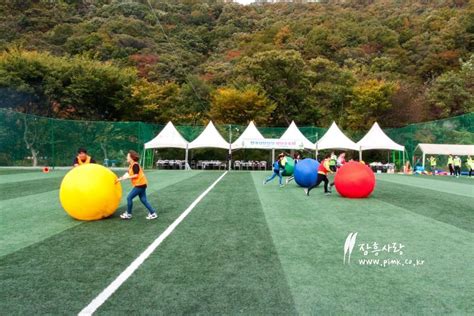 명랑운동회 공굴리기 게임 모습입니다 포토앨범 그린랜드