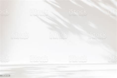 제품 프레젠테이션을 위한 추상적인 흰색 스튜디오 배경입니다 창문과 꽃과 야자수 잎의 그림자빈 방 복사 공간이있는 3d 룸 여름 콘서트 흐린 배경 0명에 대한 스톡 사진 및