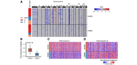 Gene Expression Scales With Chromosome Copy Number A Heatmap Of The