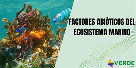 Qué Factores Conforman Un Ecosistema Colombia Verde