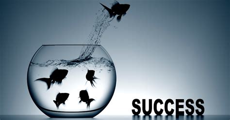 how to land a developer job without a computer science degree