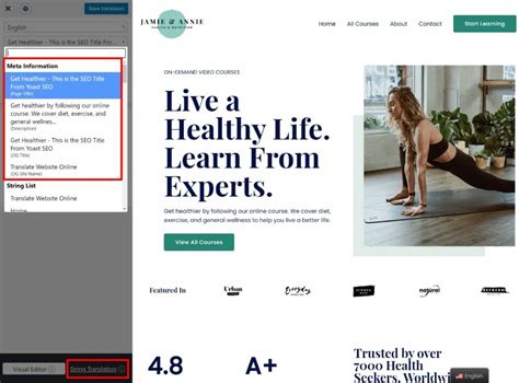 How To Translate Your Entire Website Online Complete Guide