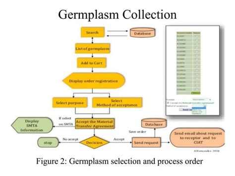 Plant Exploration Germplasm Collection Conservation And Utilization Pptx Agriculture