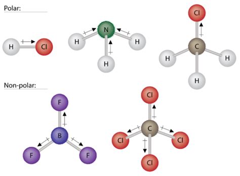 Polar Covalent Examples