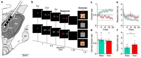 reinforcement learning paradigm and behavior download scientific diagram