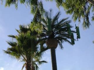 RF Radiation Study How To Measure RF Exposure EMF RF Testing Mitigation Shielding Experts