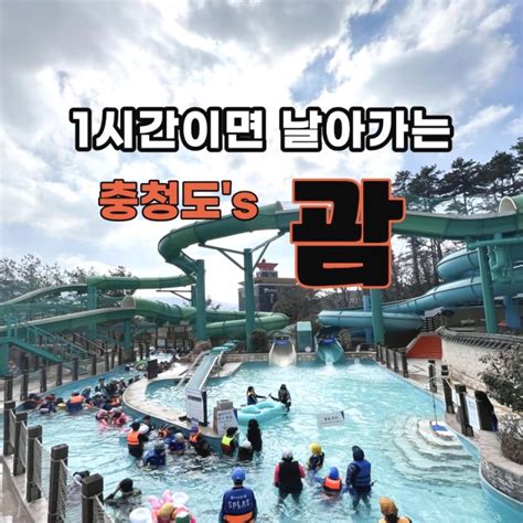 당일치기 가능한 해외같은 온천여행 예산 덕산 스플라스 리솜 워터파크 객실후기 네이버 블로그
