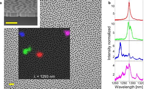 A Top View Sem Image Of The Investigated Gaas Slab Of Random Air Download Scientific Diagram