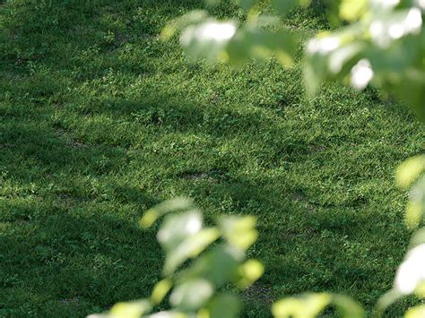 Lab Shella Grass Pack Behance