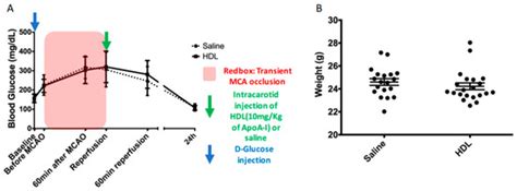 Molecules Special Issue High Density Lipoprotein HDL Metabolism And Functionality