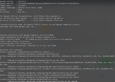 Dgraph 20 03 0 Live Panic Interface Conversion Interface Is Nil