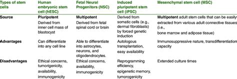 Types And Properties Of Stem Cells Download Scientific Diagram