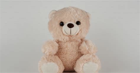 하얀 표면 위에 앉아있는 테디 베어 사진 Unsplash의 테디 베어 이미지