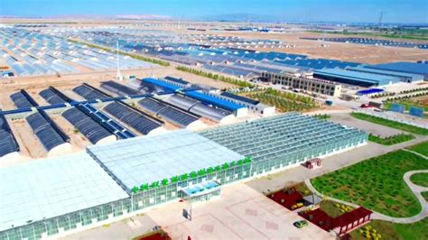 肃州区推动现代农业扩规升级 凤凰网视频 凤凰网