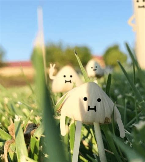 Nightcap Recruits In Training For My Mushroom Army Rplantsvszombies