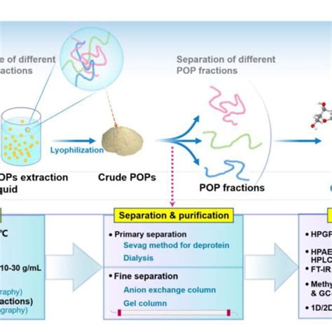 Figure Overall Presentation Of Extraction Purification And Structure Download Scientific