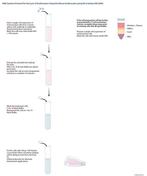Rbc Lysis Buffer Recipe Besto Blog