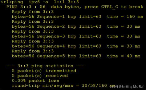 ipv6协议之ripng csdn博客
