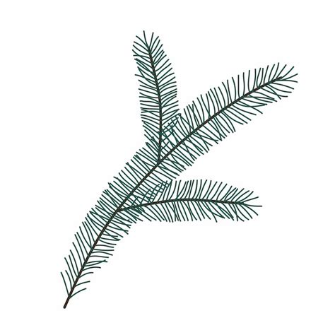 Premium Vector Hand Drawn Christmas Tree Branch Isolated On White