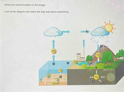 Select The Correct Location On The Image Look At The Diagram And