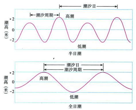 海洋微课堂55） 潮汐 Tide
