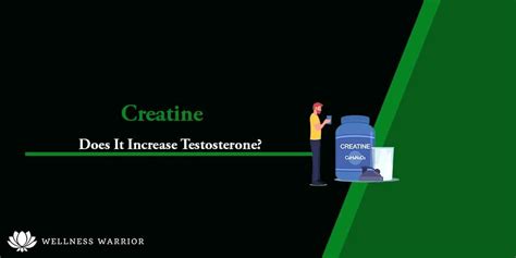 Does Creatine Increase Testosterone
