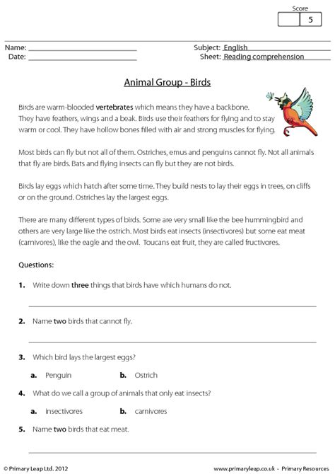 Birds Reading Comprehension