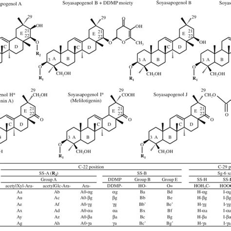 Geographical Distribution Of Wild Soybean Hypocotyl Saponin Phenotypes Download Table