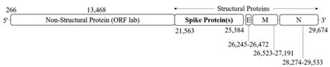 Algorithms Special Issue Explainable Artificial Intelligence In