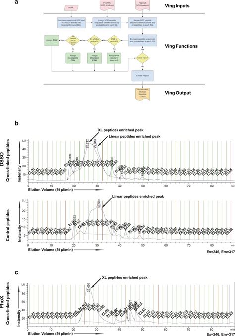 Ving And Xl Ms Sec A Schematic Workflow Describing The Working