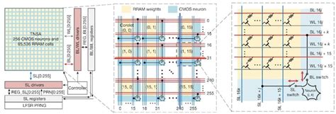 Researchers Worldwide Come Together On “neurram” Neuromorphic Chip News