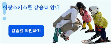 아랑스키스쿨 L 곤지암스키강습 곤지암 리조트 스키강습 곤지암스키 곤지암개인스키강습