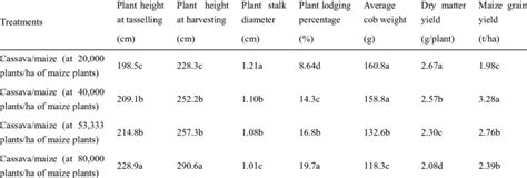 Effects Of Varying Maize Plant Population Density In Cassavamaize Download Table