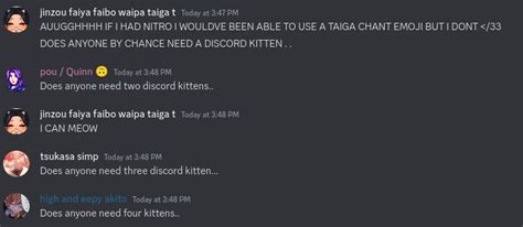 Does Anyone Need Four Discord Kittens Fandom